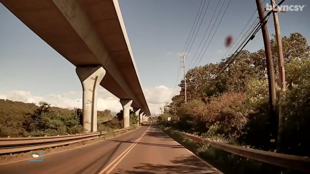 Vegetation Encroachment - Blyncsy - Real-time AI Road Condition Management and Asset Inventory