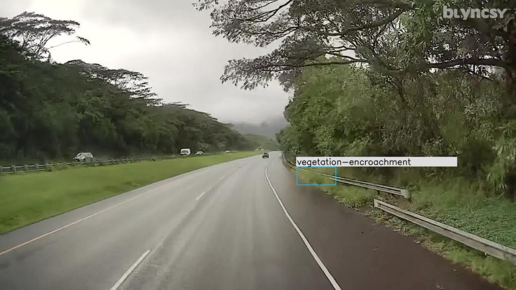 Vegetation Encroachment - Blyncsy - Real-time AI Road Condition Management and Asset Inventory