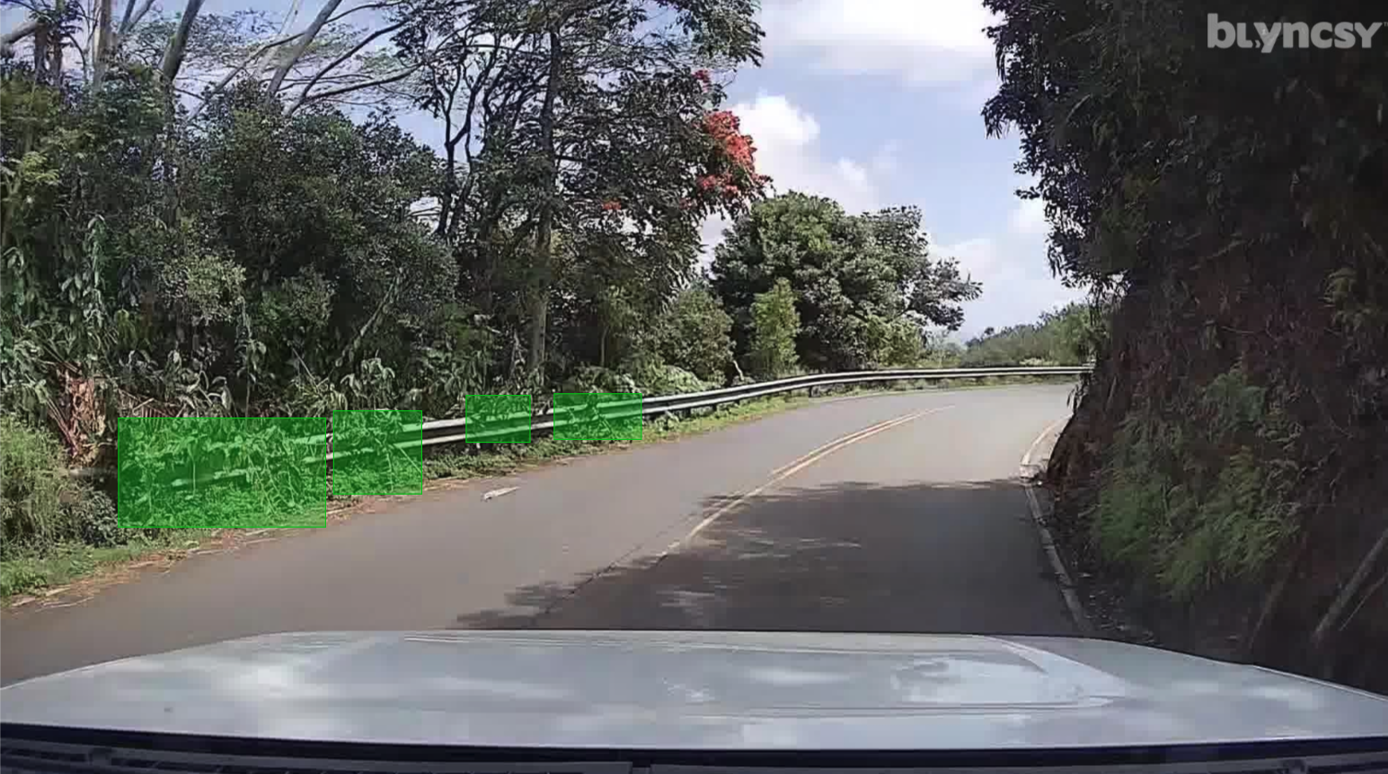 Vegetation Encroachment - Blyncsy - Real-time AI Road Condition ...